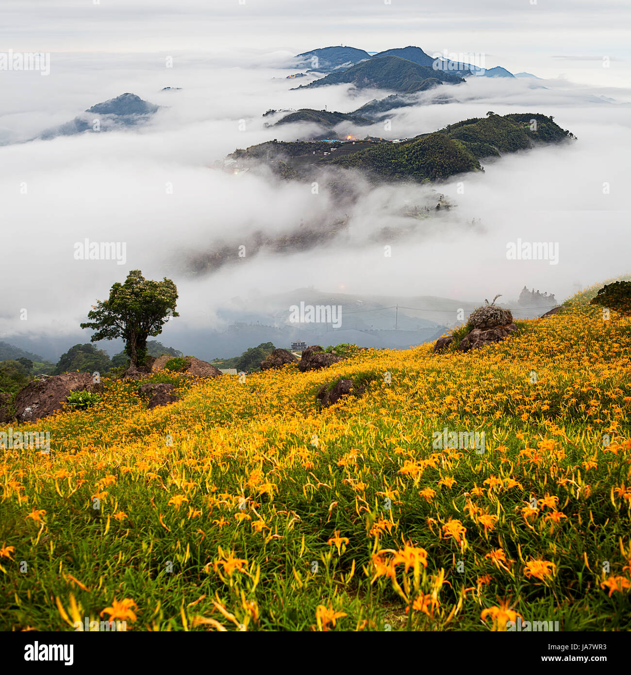 beautiful, beauteously, nice, environment, enviroment, model, design ...