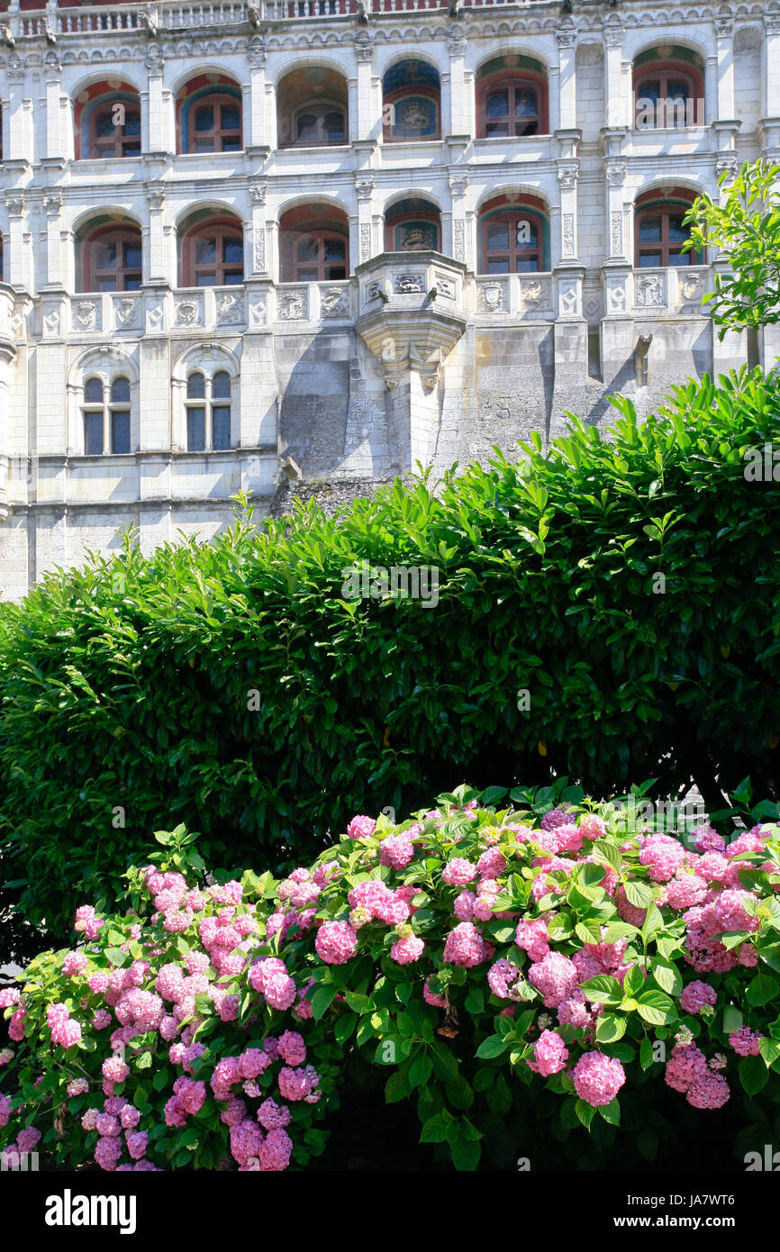 house, building, city, town, stone, flower, plant, bloom, blossom ...