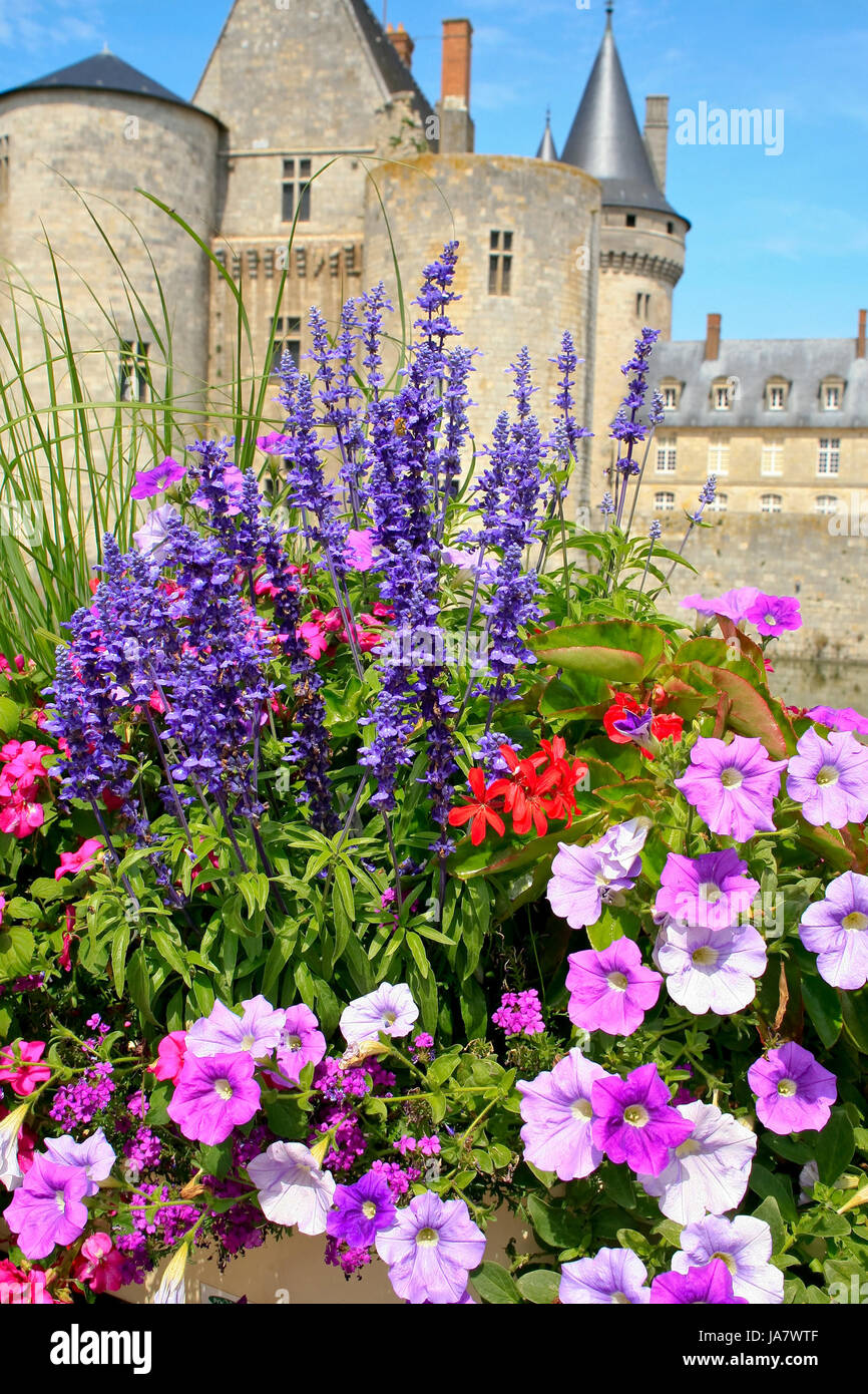 Flowerbed with bright colour flower in front of mediaeval castle Sully ...