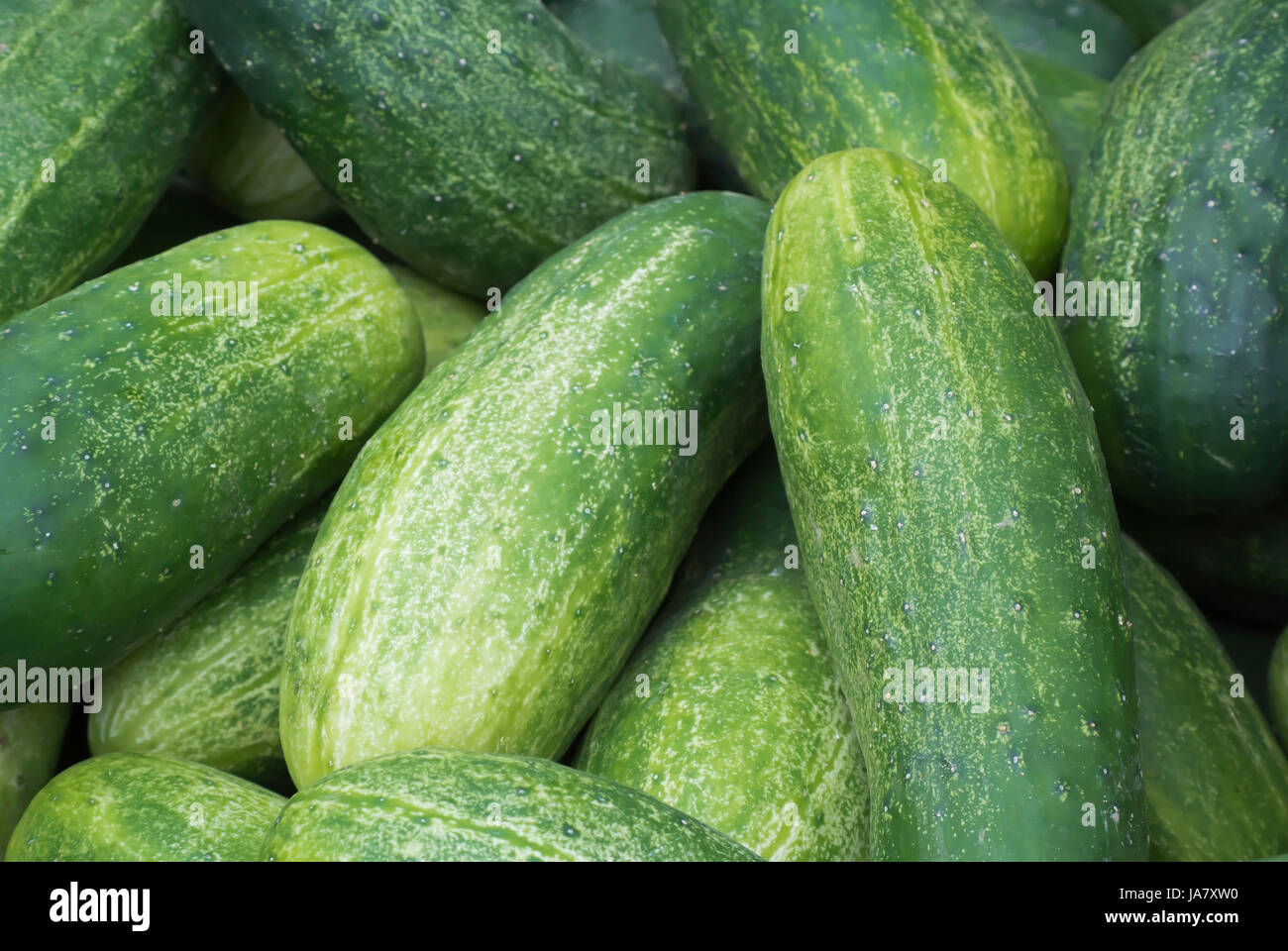 Cucumbers - Close Up Stock Photo - Alamy