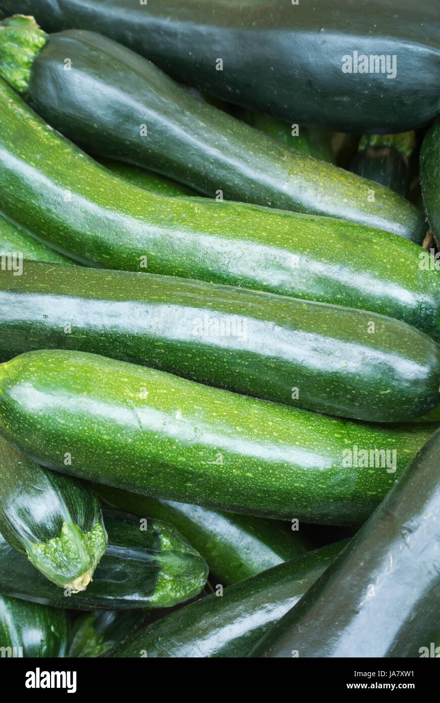 Zucchini farm produce hi-res stock photography and images - Alamy