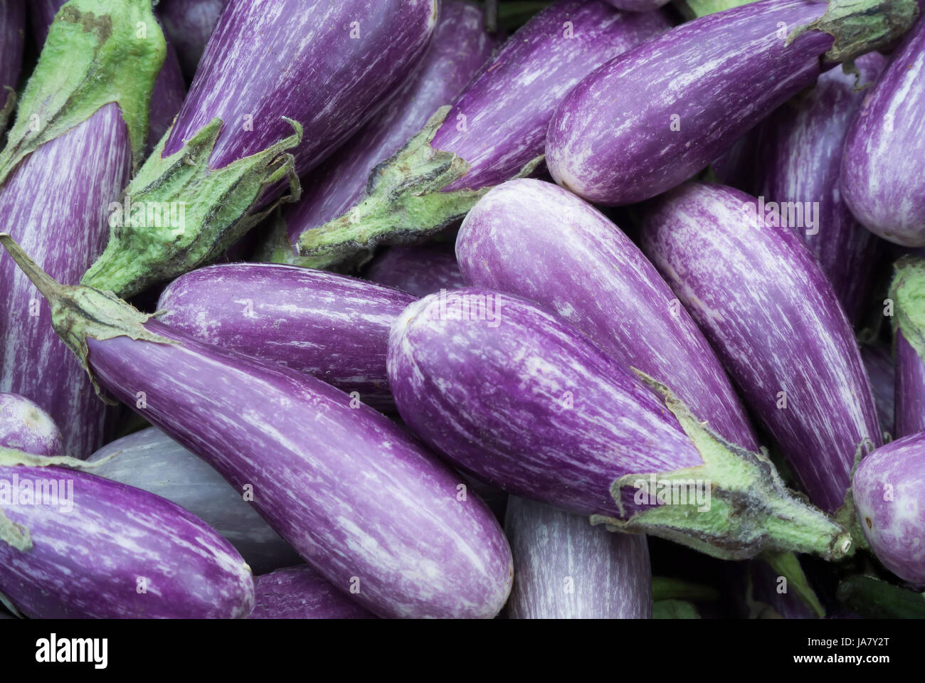 Eggplant - Close Up Stock Photo - Alamy