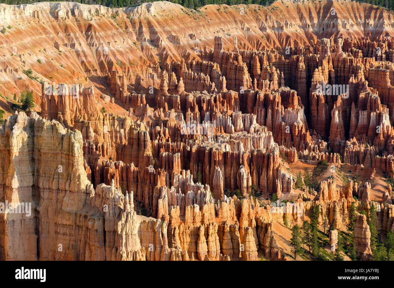 environment, enviroment, america, dawn, plateau, environment ...