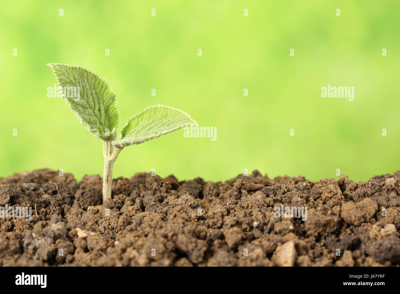 starting a new life Stock Photo - Alamy