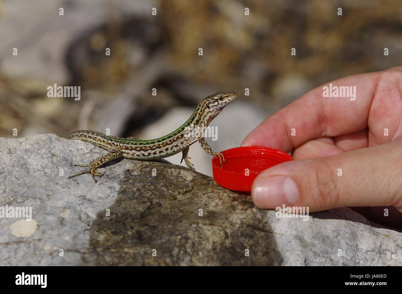 Divided water hi-res stock photography and images - Alamy