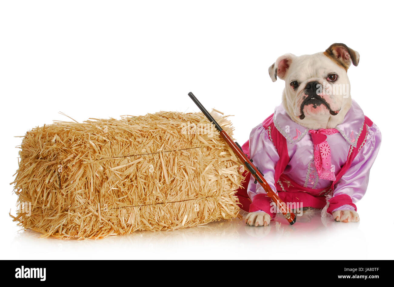 big, large, enormous, extreme, powerful, imposing, immense, relevant ...