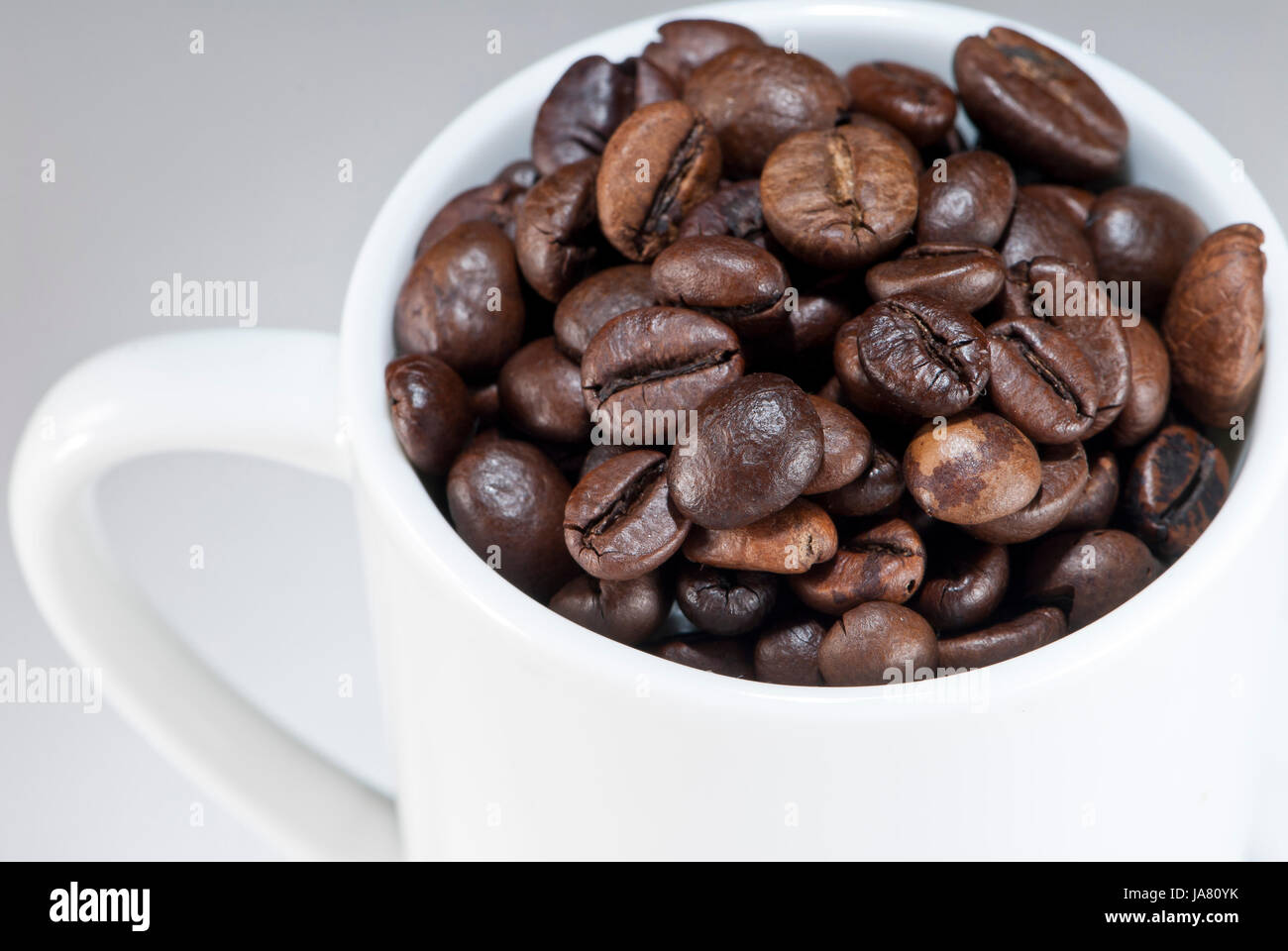 cafe, cup, brown, brownish, brunette, blank, european, caucasian, beans ...