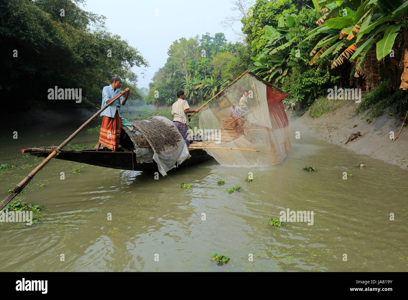 Otter fishing bangladesh hi-res stock photography and images - Alamy