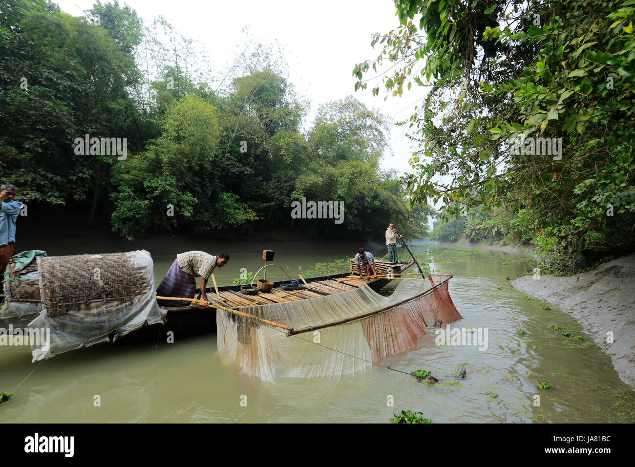 Otter fishing bangladesh hi-res stock photography and images - Alamy