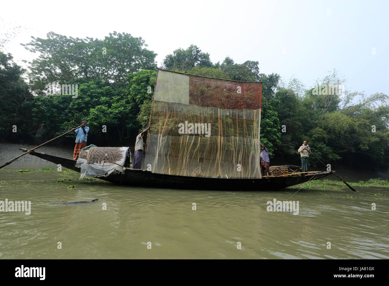 Otter fishing bangladesh hi-res stock photography and images - Alamy