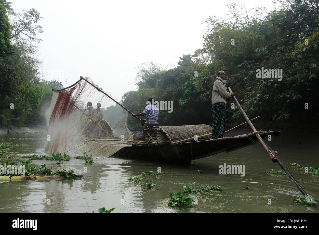 Otter fishing bangladesh hi-res stock photography and images - Alamy