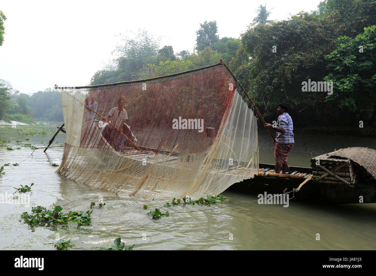 Traditional otter fishing using trained otters, in the Chitra River in ...