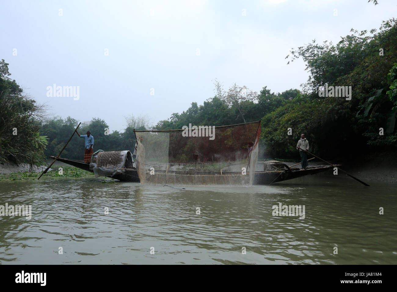 Otter fishing bangladesh hi-res stock photography and images - Alamy