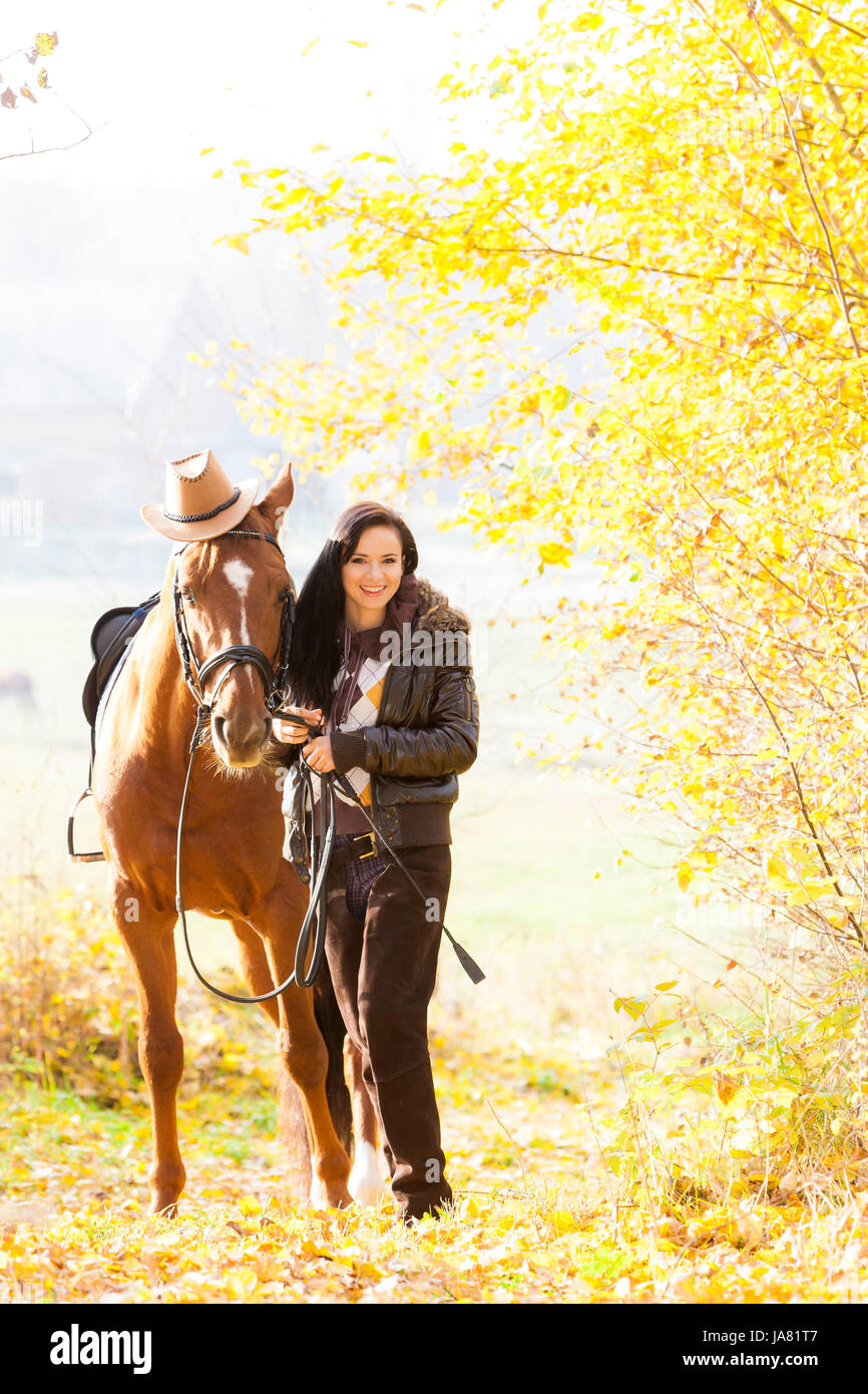 woman, horse, riding, rider, equestrian, horseriding, woman, humans ...