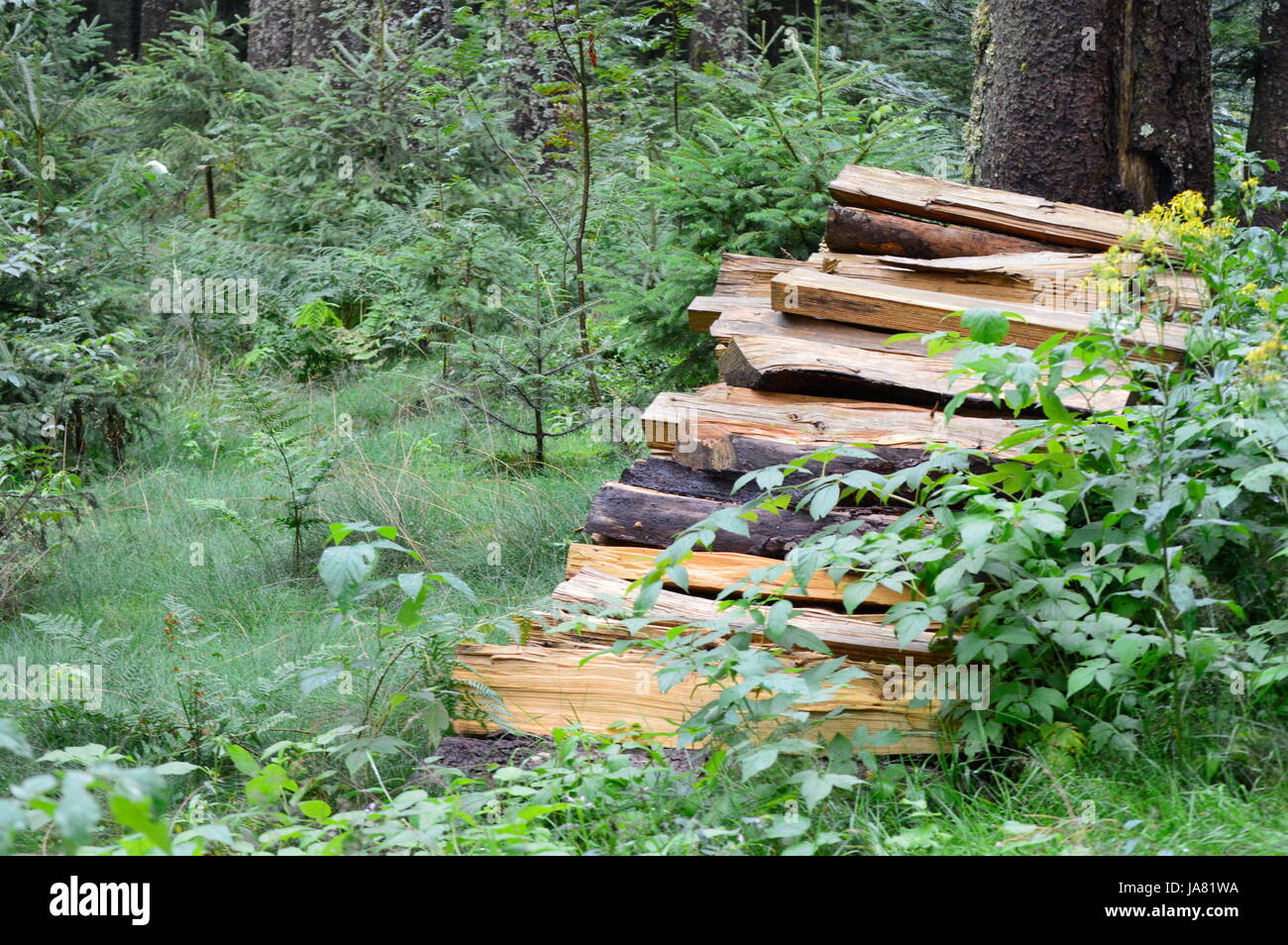 wood, firewood, wood, firewood, holzscheite, scheitholz, feuerholz ...
