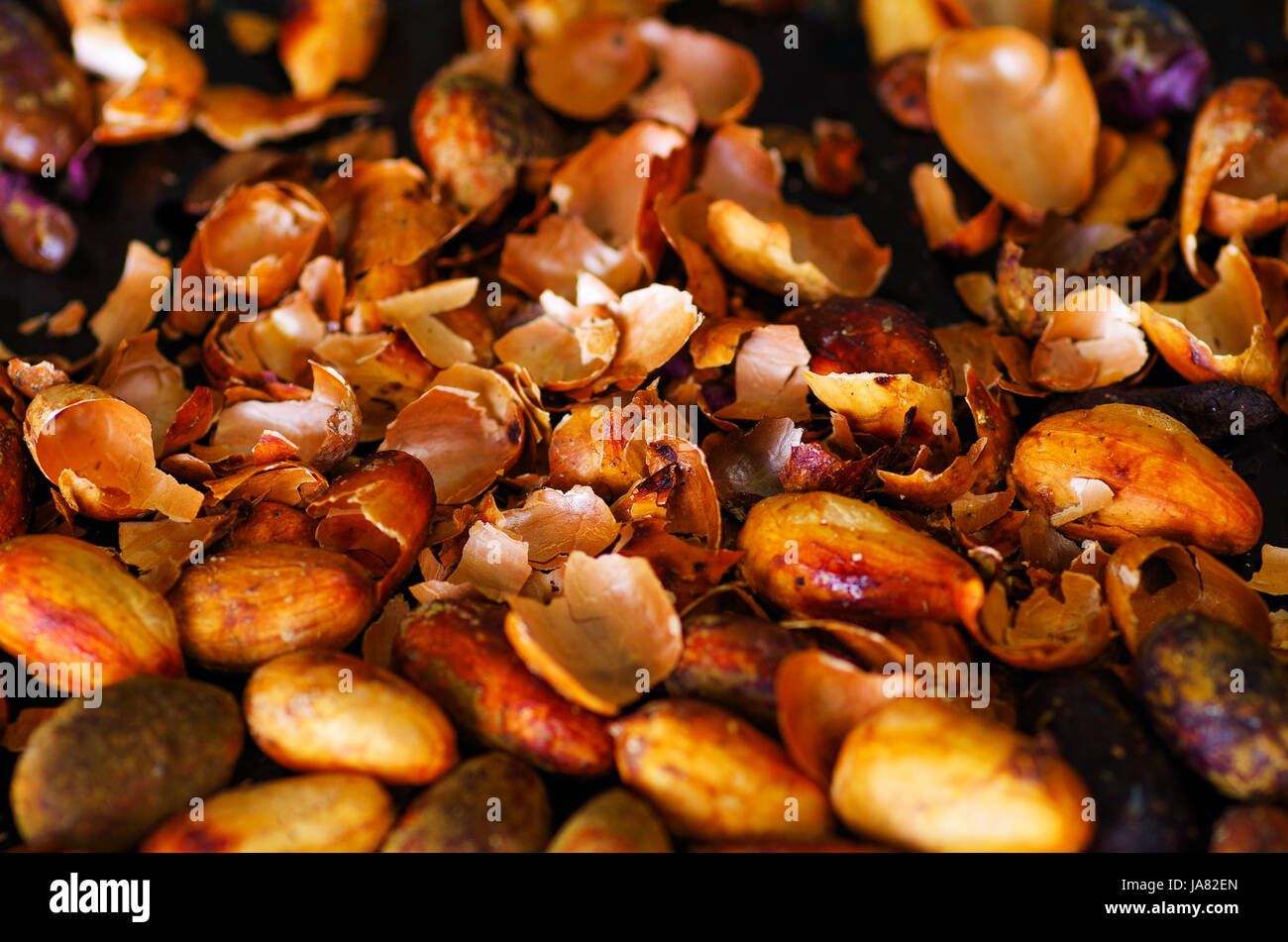 Close up of a dry cocoa beans Stock Photo - Alamy