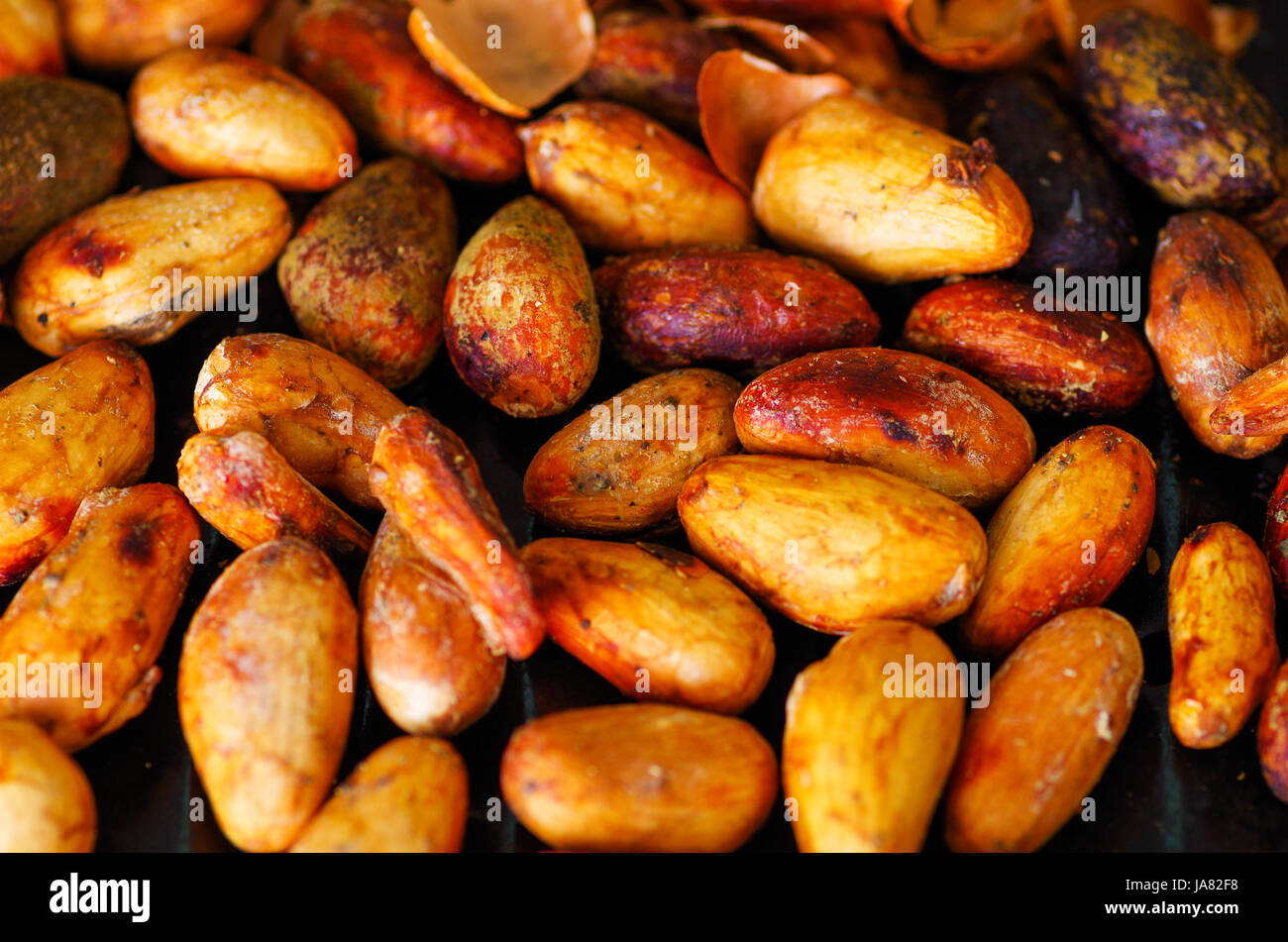 Close up of a cocoa beans on bean background Stock Photo - Alamy