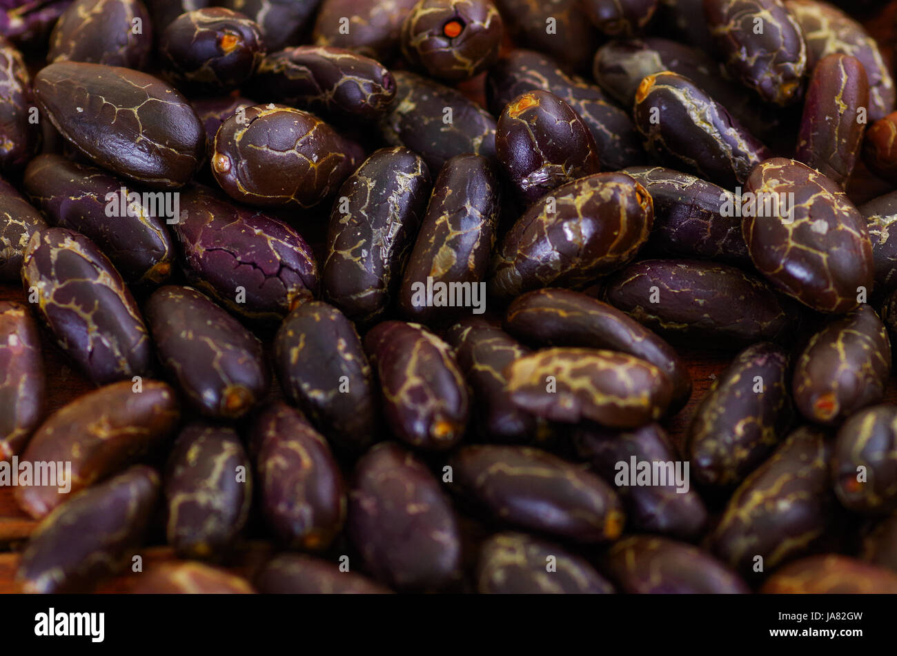 Close up of a cocoa beans on bean background Stock Photo - Alamy