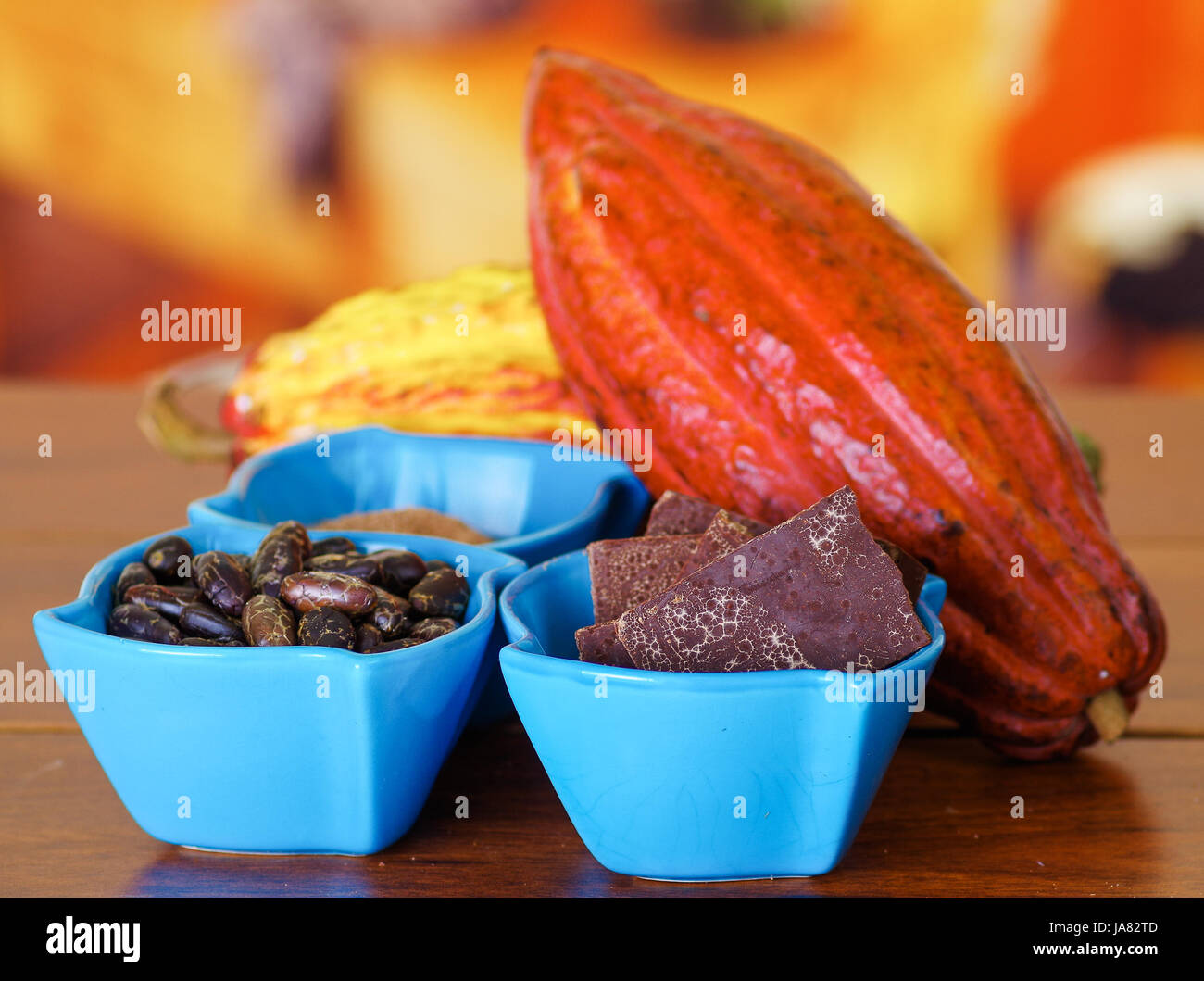 Close up of a fresh cocoa pods: dark dry cocoa bean, pieces of ...