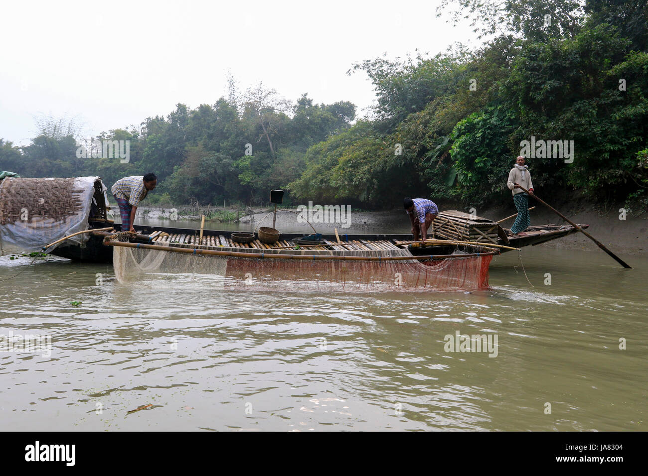 Otter fishing bangladesh hi-res stock photography and images - Alamy