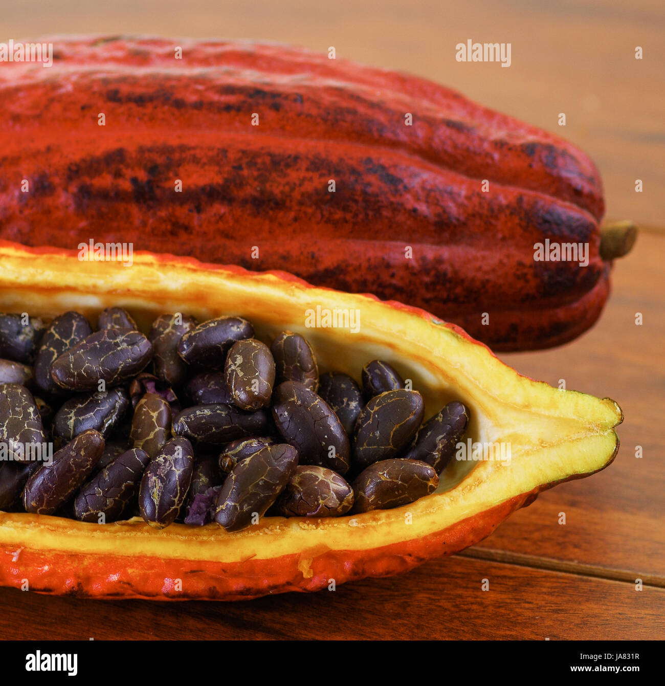 Fresh cocoa pods and beans in a cocoa pods on wooden background Stock ...