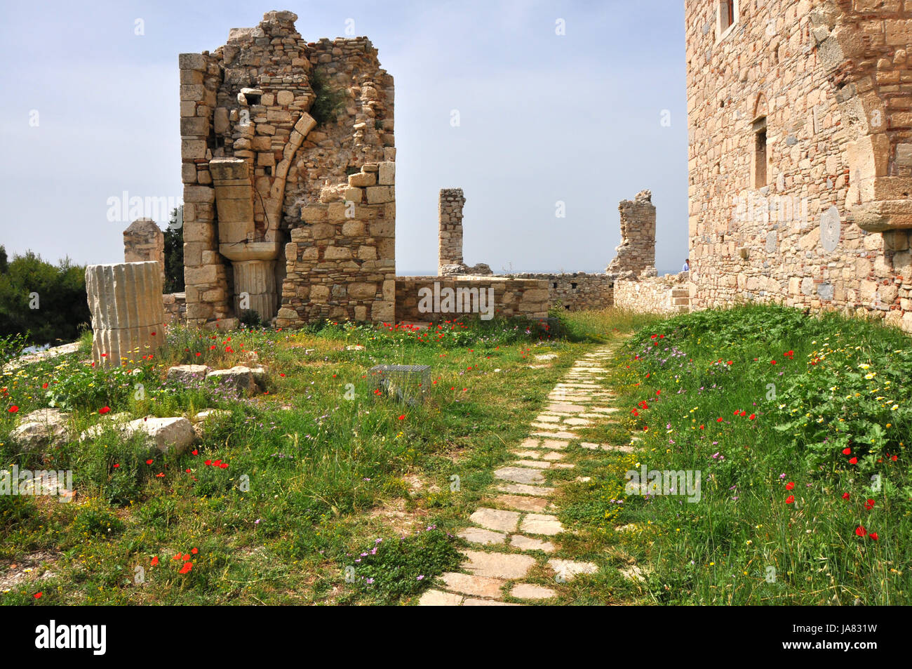 excavations on samos Stock Photo - Alamy