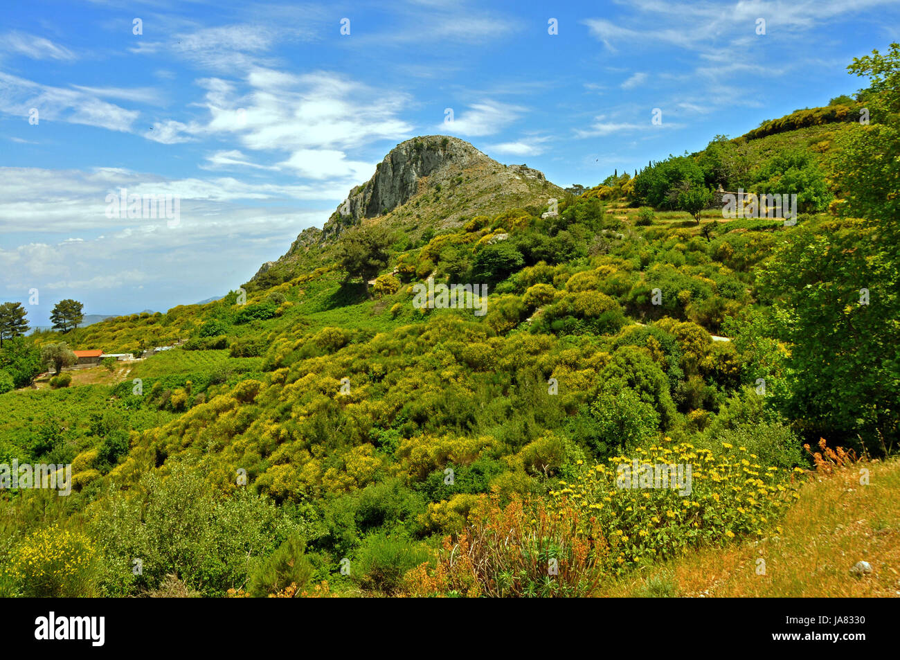 Samos island greece countryside hi-res stock photography and images - Alamy