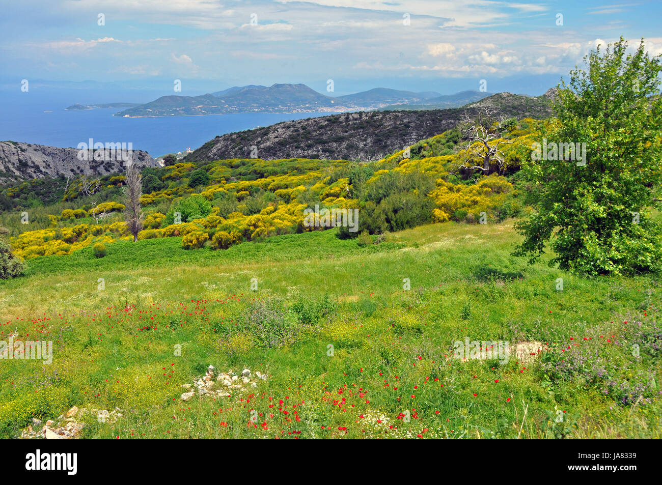 green, greece, greek, radio silence, quietness, silence, rest, scenery ...