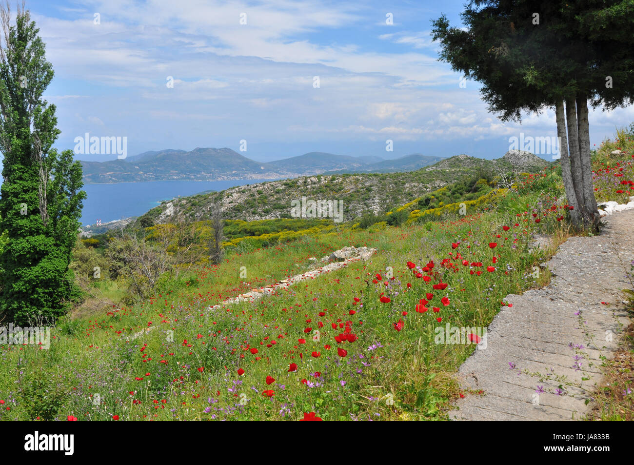 Samos island greece countryside hi-res stock photography and images - Alamy