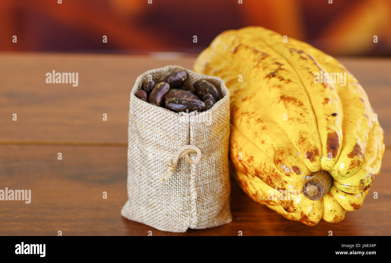 Cacao pod cut in half hi-res stock photography and images - Alamy