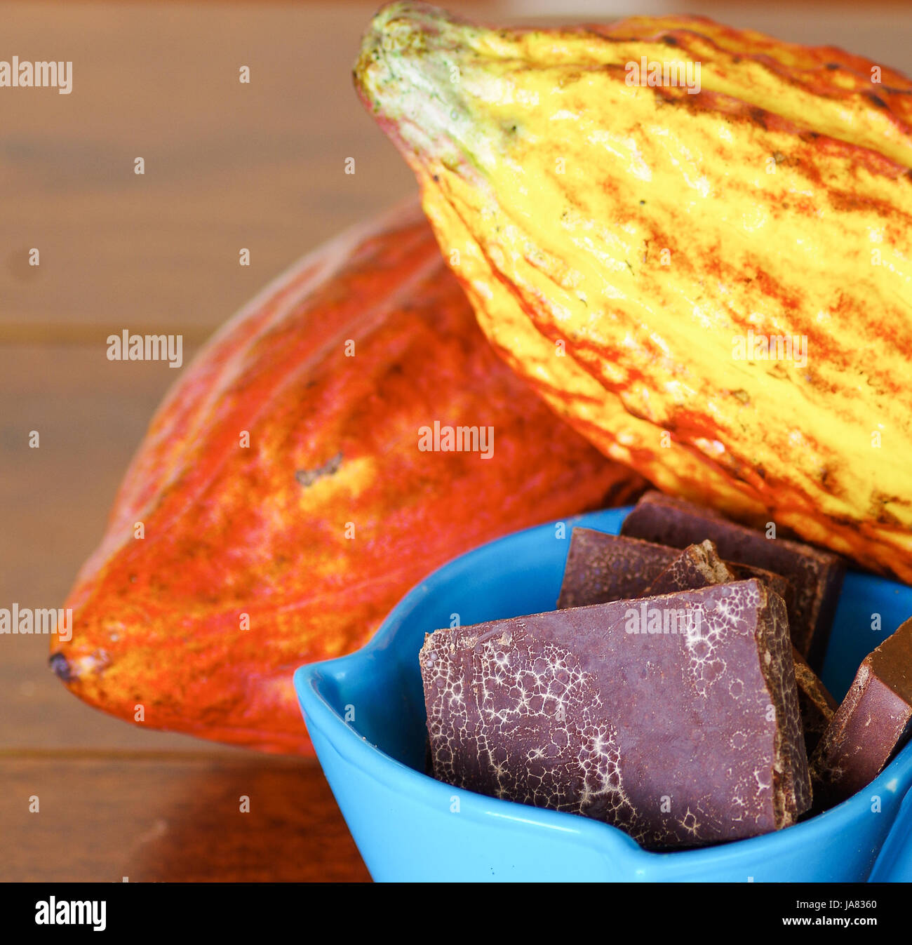 Close up of a fresh cocoa pods and some cocoa pieces of chocolate ...