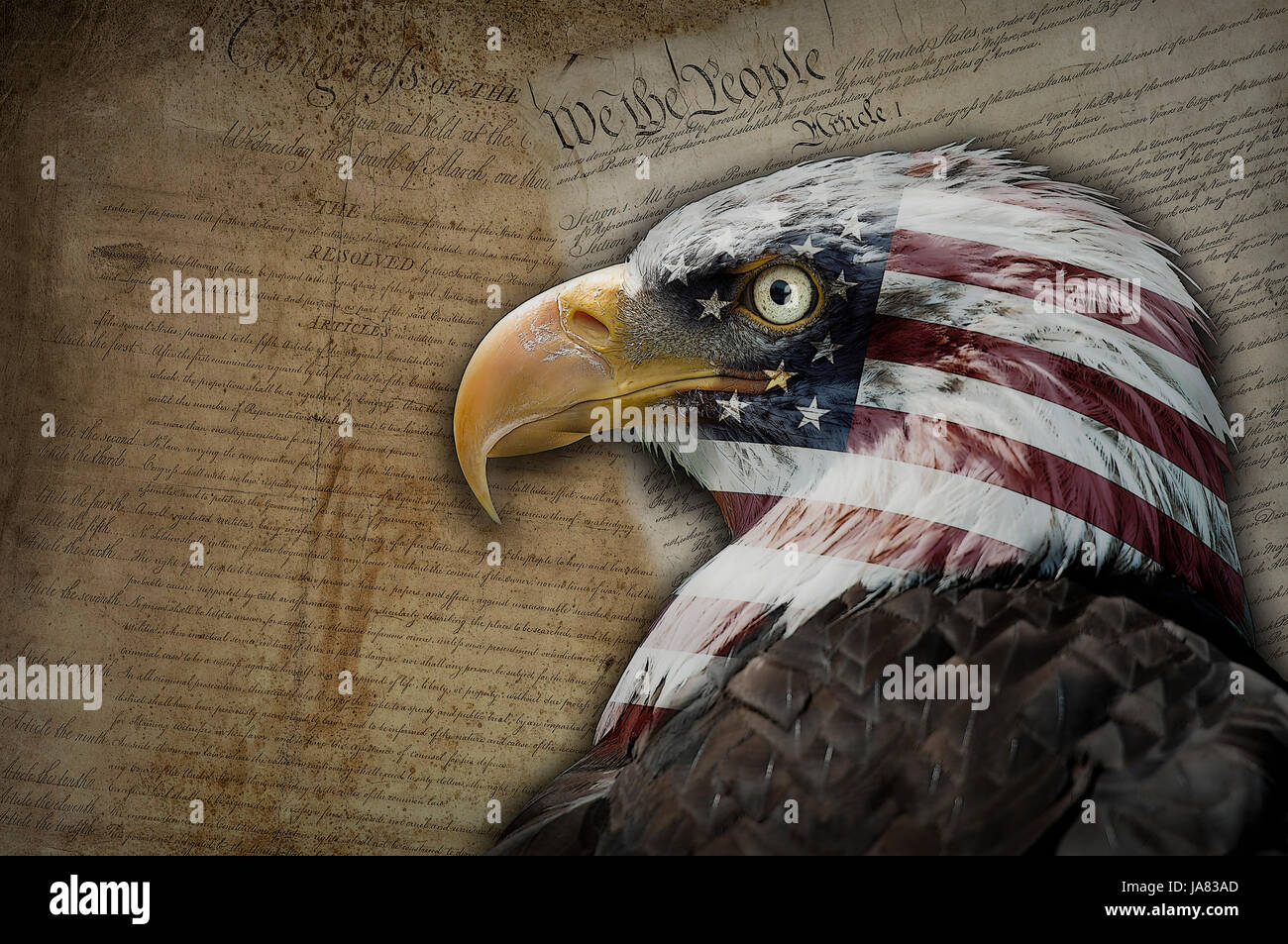 social, political, american, bird, animals, usa, vintage, freedom ...