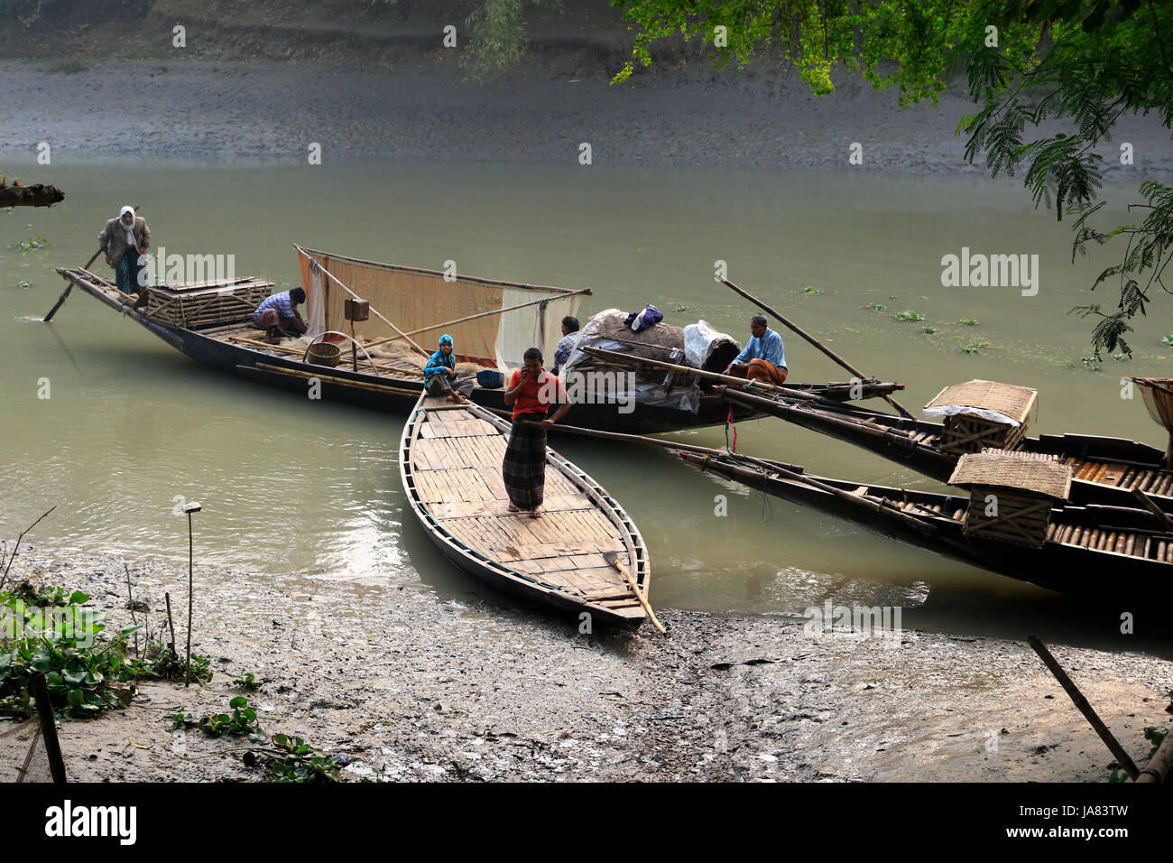 Traditional otter fishing using trained otters, in the Chitra River in ...