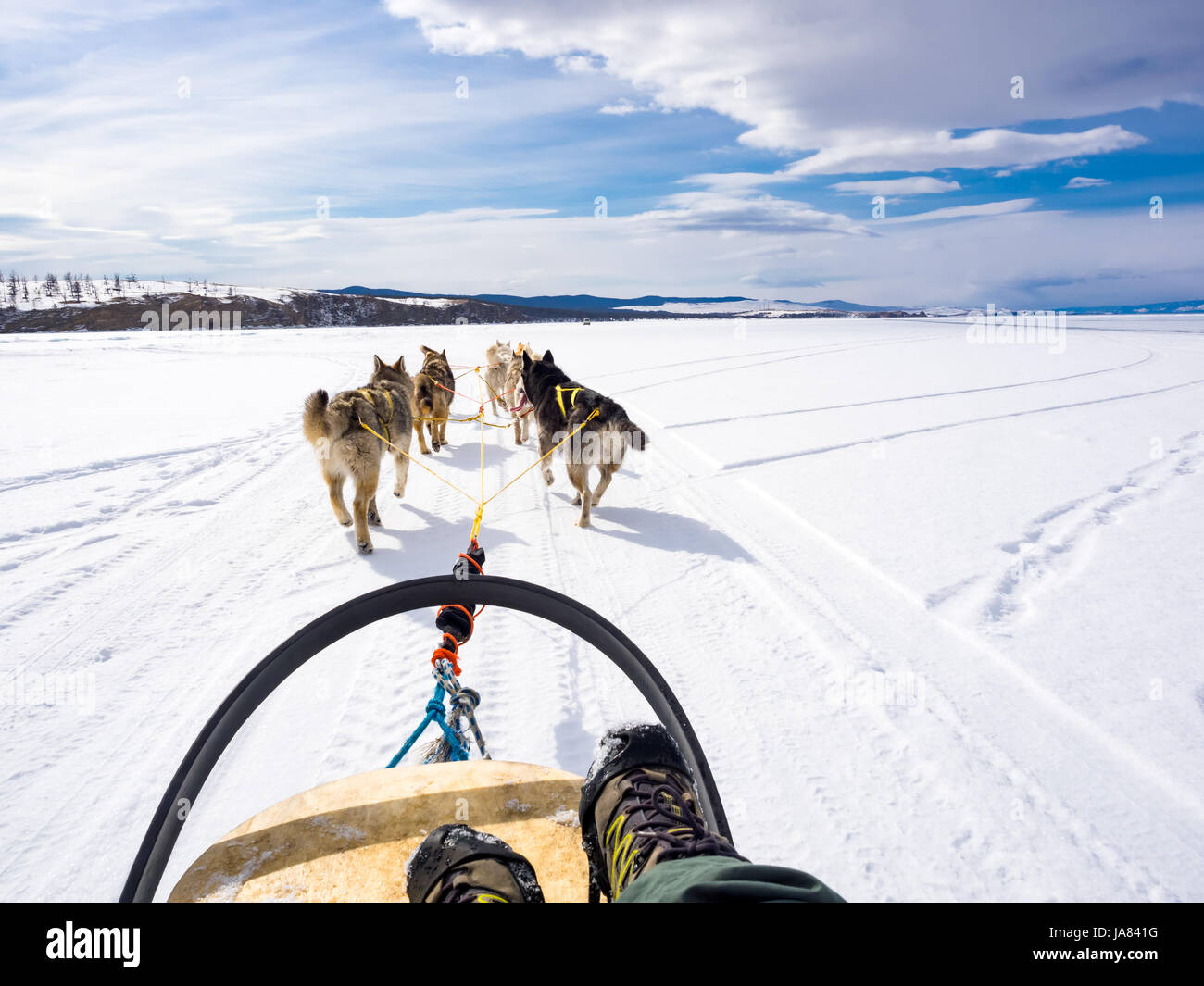 Dog Sledding In Russia at Darcy Spaull blog