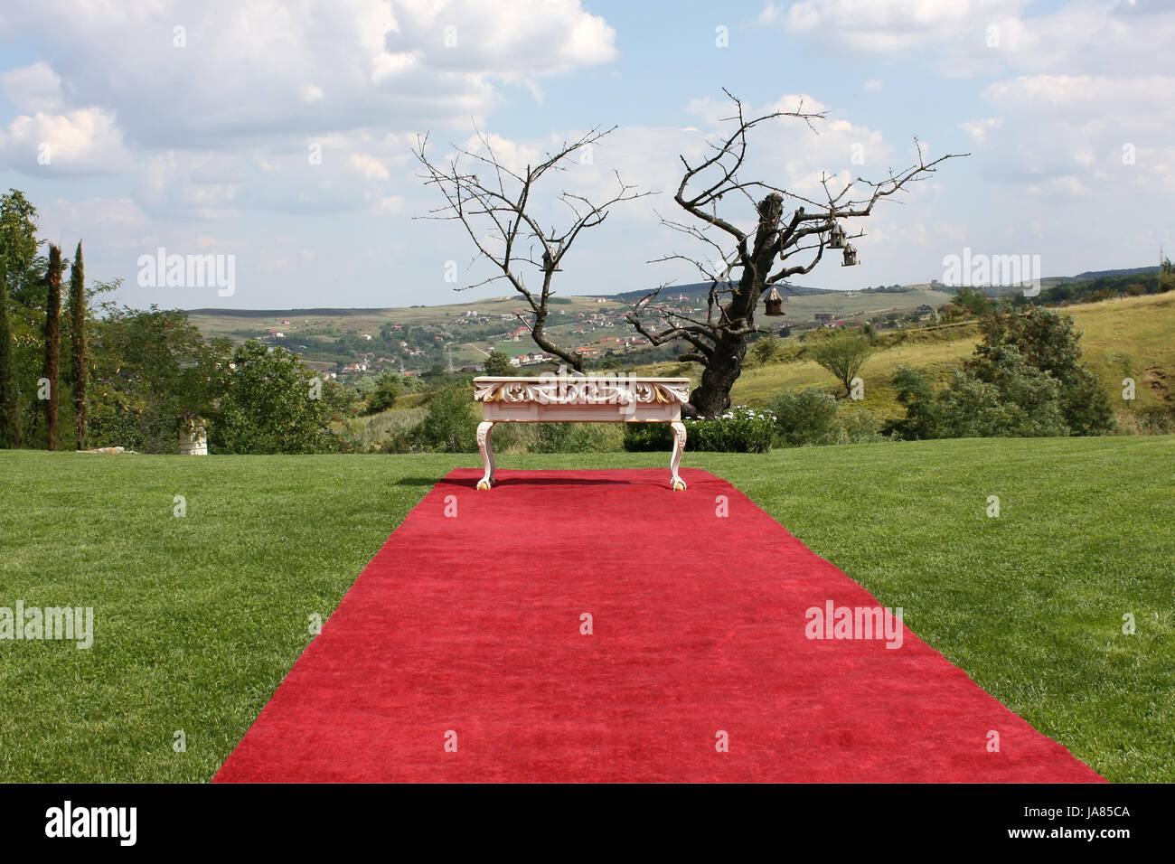 blue, beautiful, beauteously, nice, environment, enviroment, tree, park ...