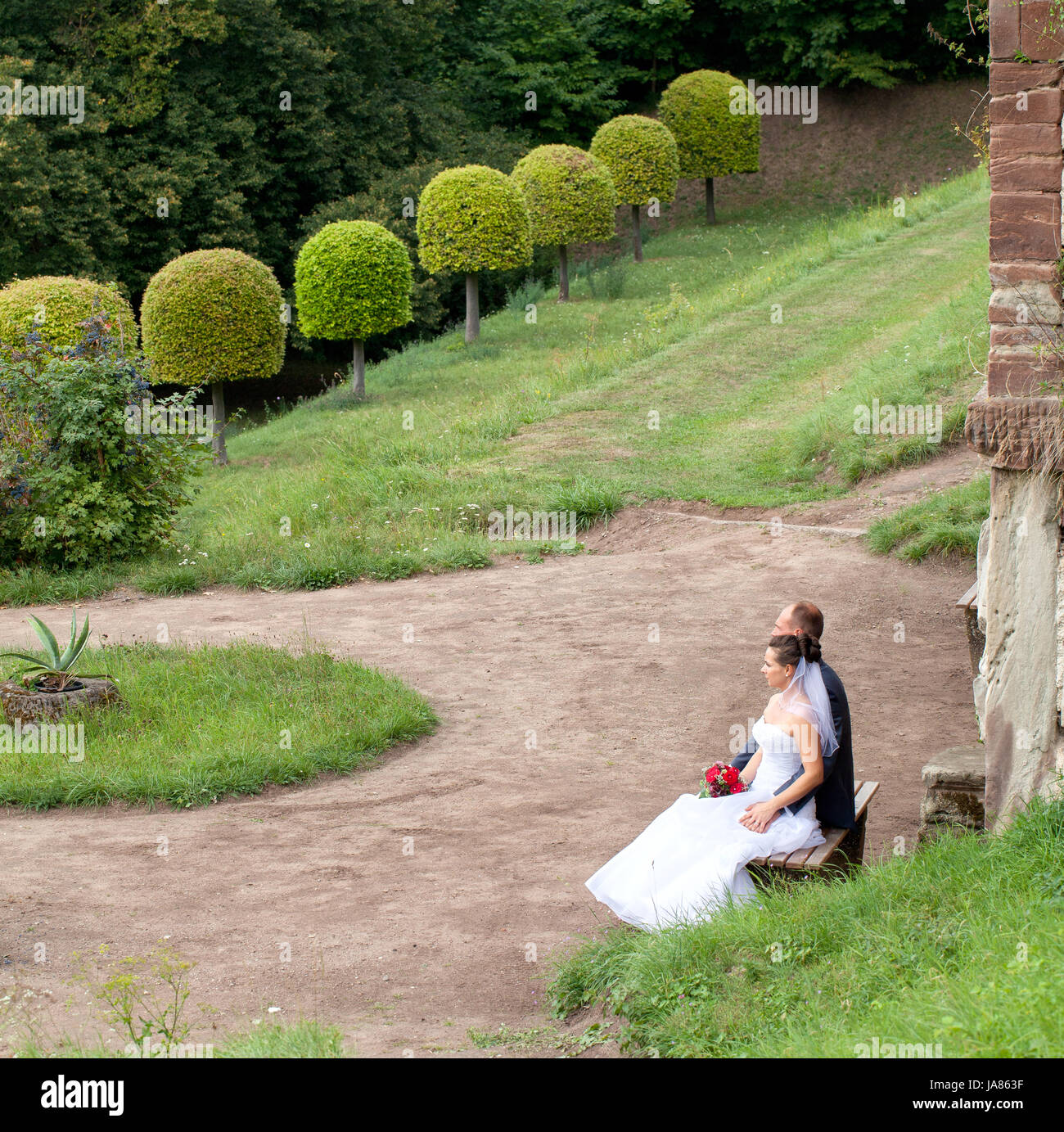 park, wedding, marriage, marriage ceremony, wedding ceremony, life ...