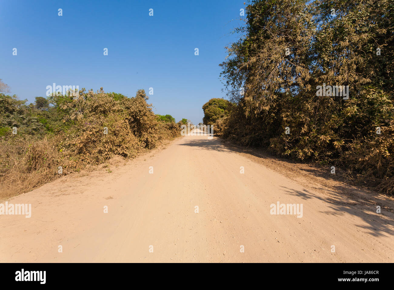 Brazilian dirt road in perspective. Famous Brazilian Transpantaneira ...