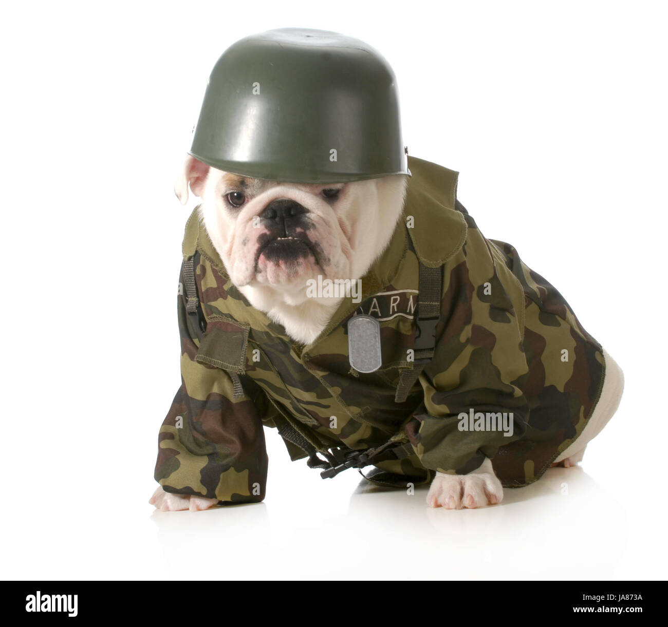 isolated, model, design, project, concept, plan, draft, teeth, army ...