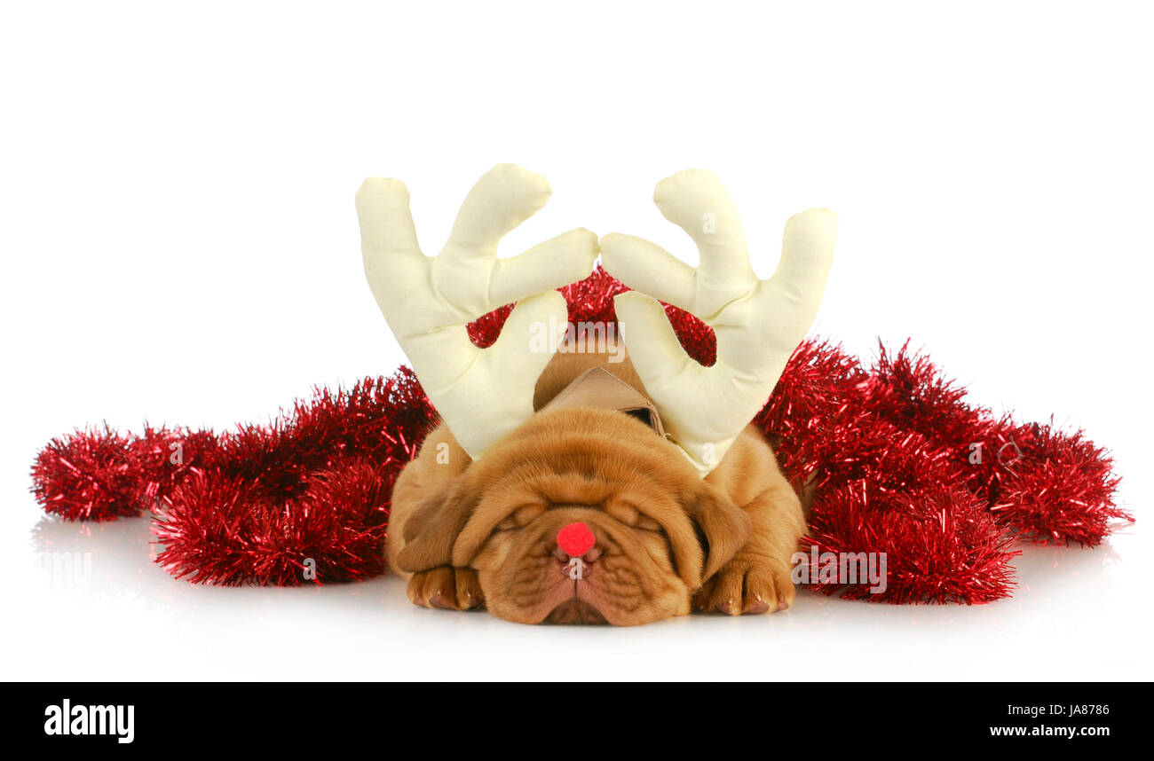 Newborn funny face Cut Out Stock Images & Pictures - Alamy