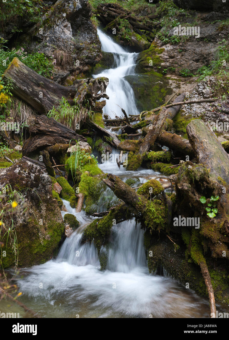 flow, wild, alps, flora, downfall, stream, waterfall, outdoor, moss ...