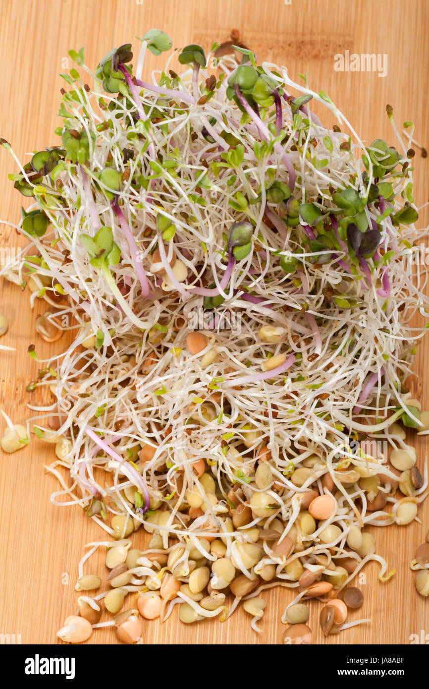 food, aliment, closeup, grain, vegetable, vegetarian, cress, sprout ...