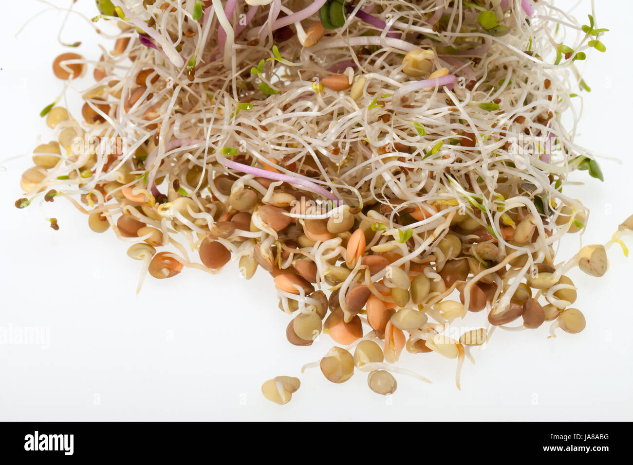 food, aliment, closeup, grain, vegetable, vegetarian, cress, sprout ...