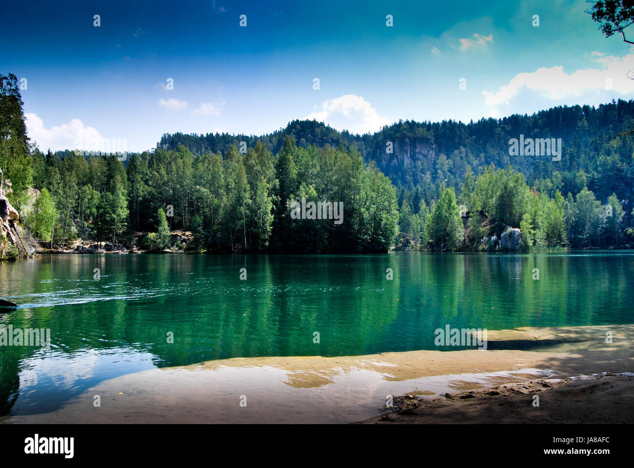 tree, trees, sight, view, outlook, perspective, vista, panorama ...