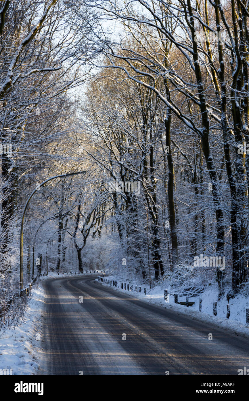snow-covered road in the forest Stock Photo - Alamy