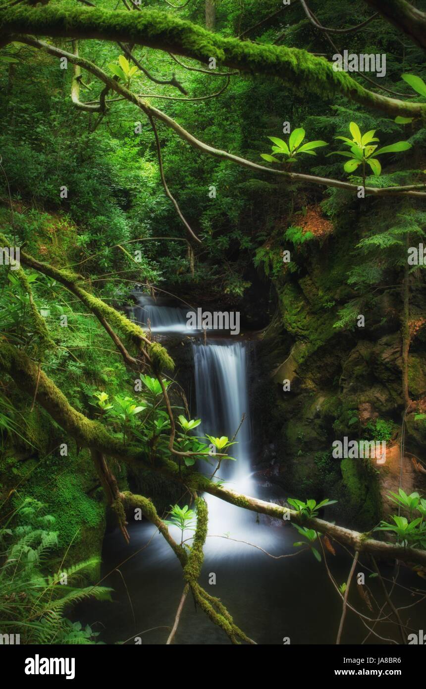 long-term exposure, waterfall, black forest, waterfalls, river, water ...