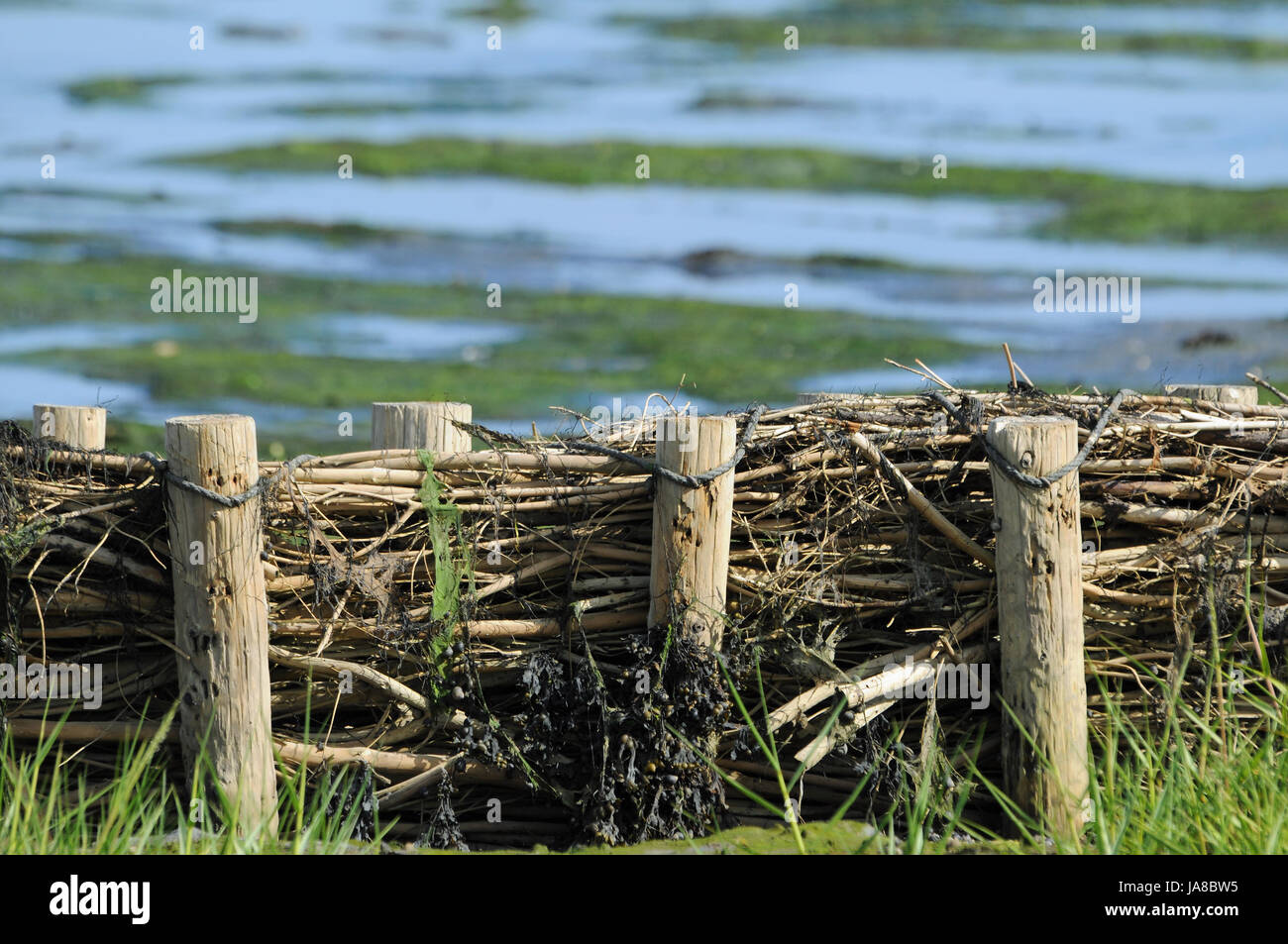 water, north sea, salt water, sea, ocean, breakwater, stages, bank ...