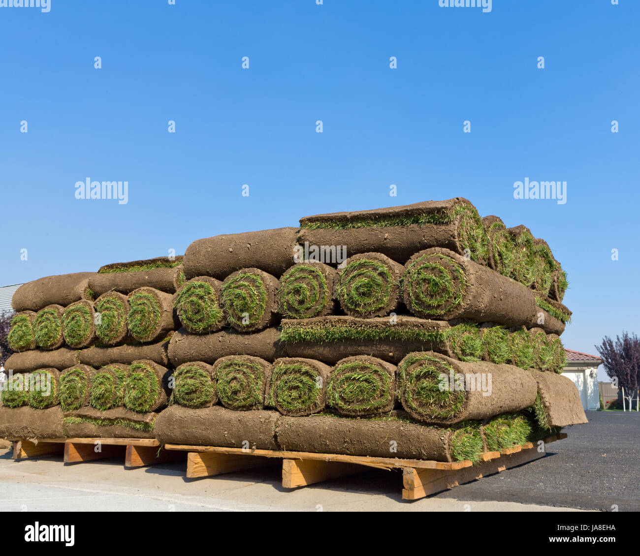 new, rolled, sod, rolls, meadow, grass, lawn, green, rollers, space ...