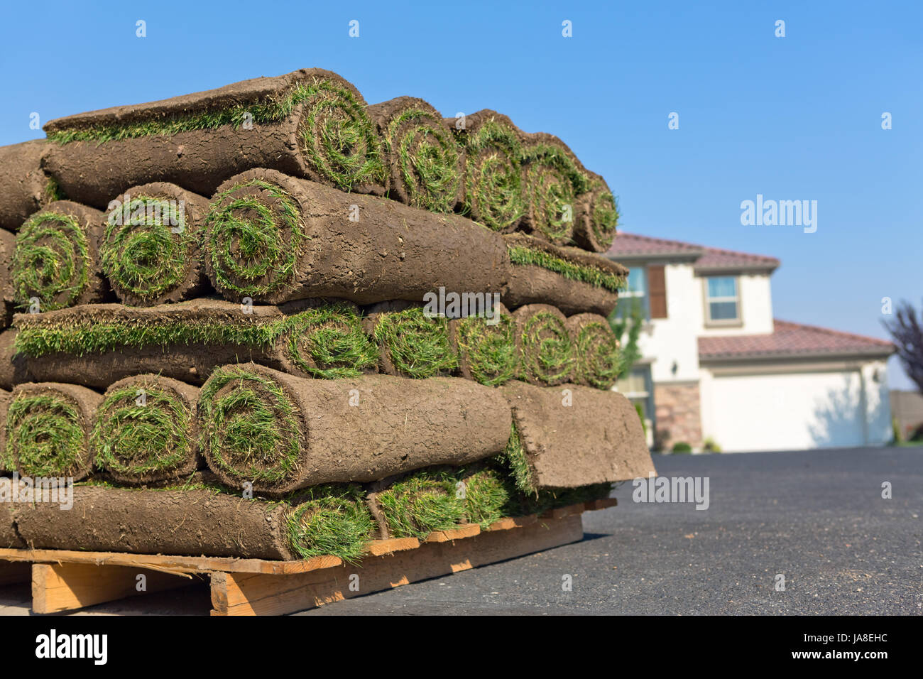 new, rolled, sod, rolls, meadow, grass, lawn, green, rollers, space ...