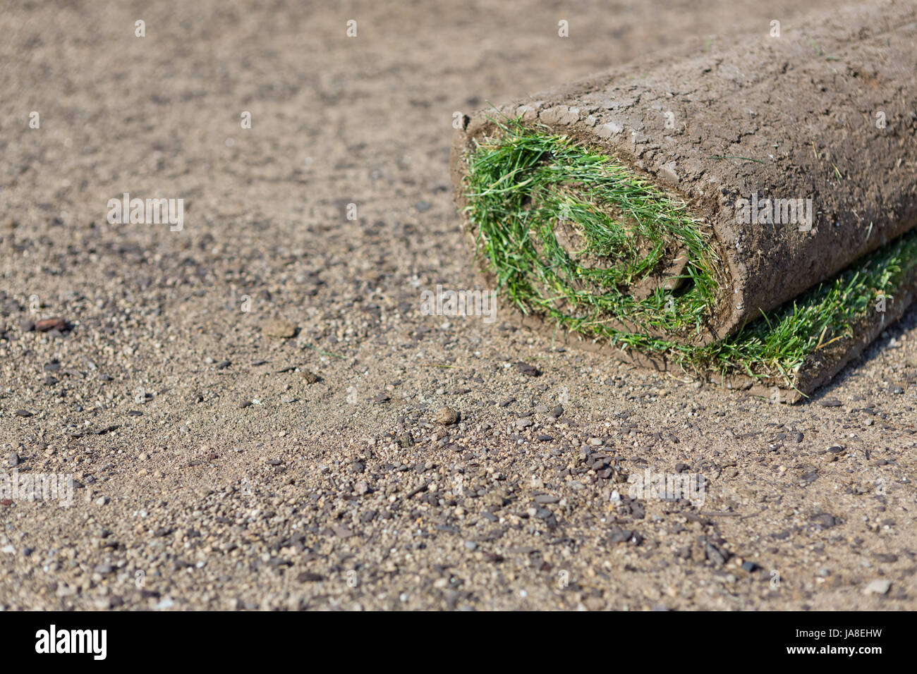 new, rolled, sod, meadow, grass, lawn, green, fresh, space, ground ...