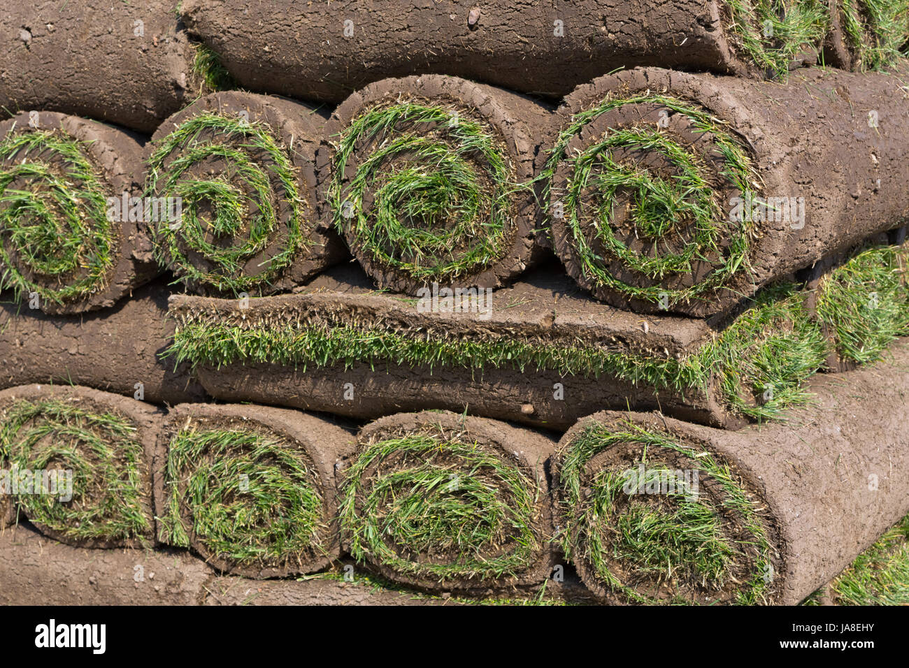 new, rolled, sod, rolls, meadow, grass, lawn, green, rollers, space ...